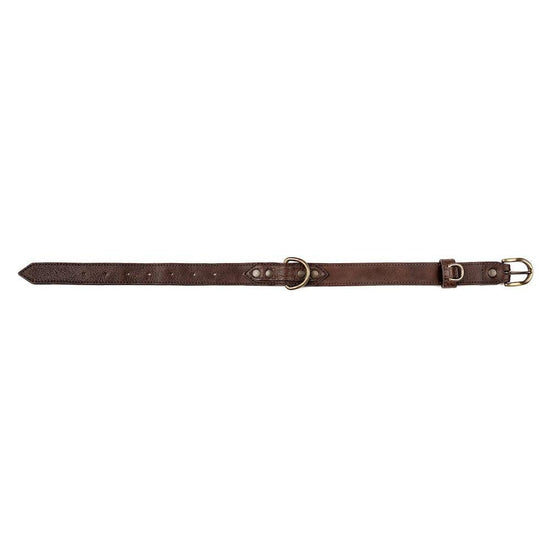 Campaign Leather Dog Collar for | Mission Mercantile Leather Goods